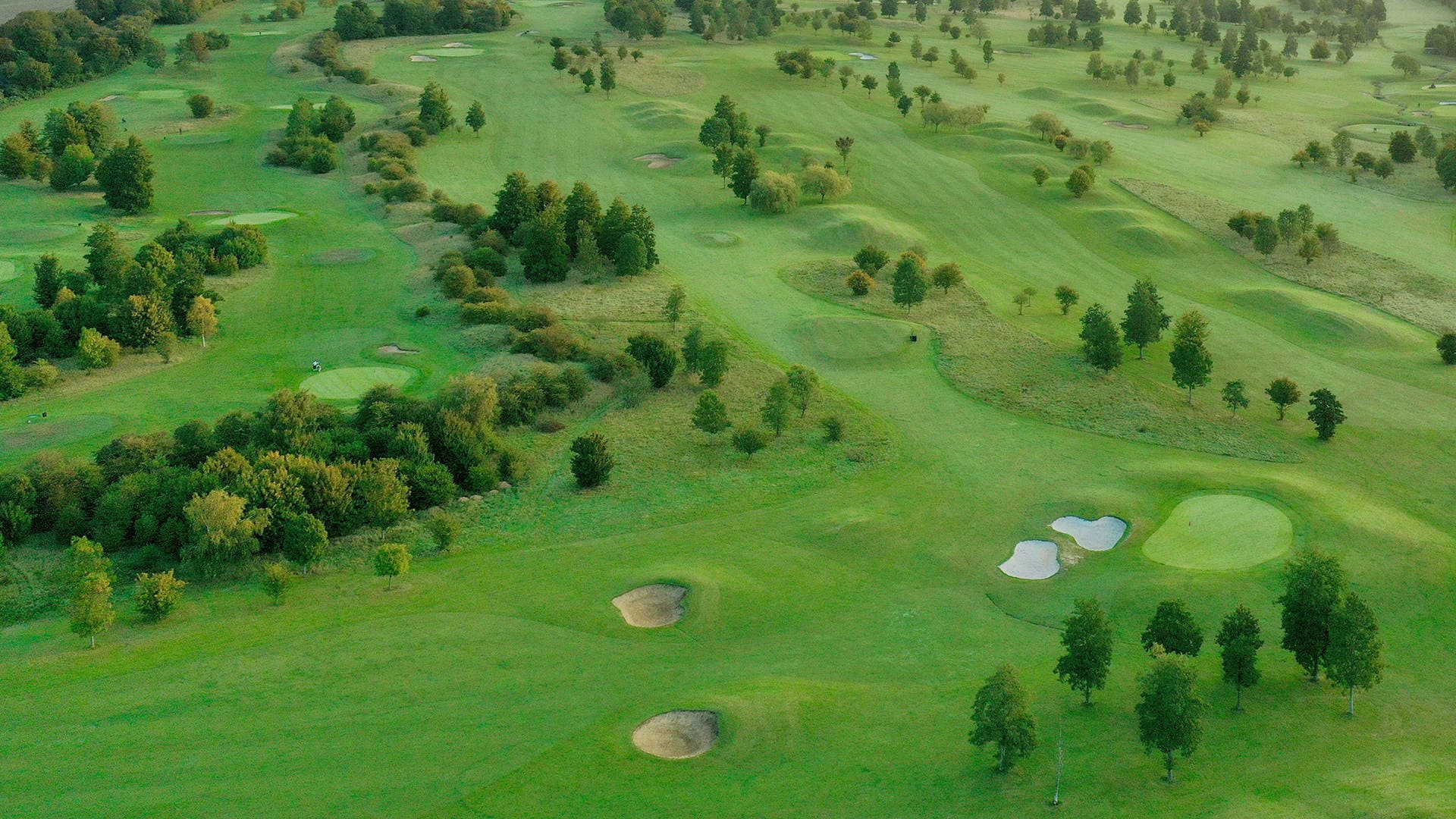 Golf Course Information | 18 Hole Golf Courses | Chesfield Downs